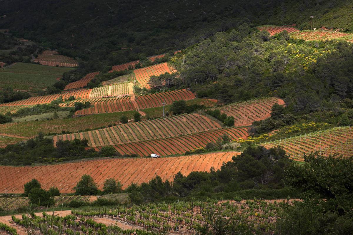 Saint-Chinian | Pays Haut Languedoc et Vignobles